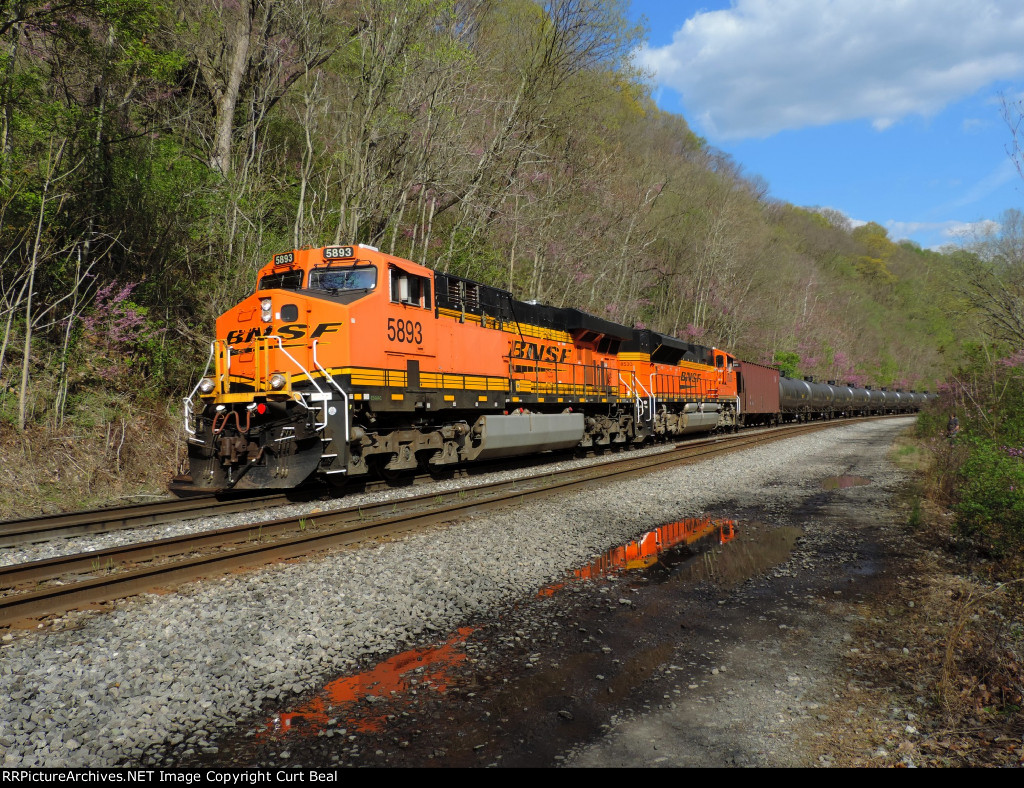 BNSF 5893 and 8530